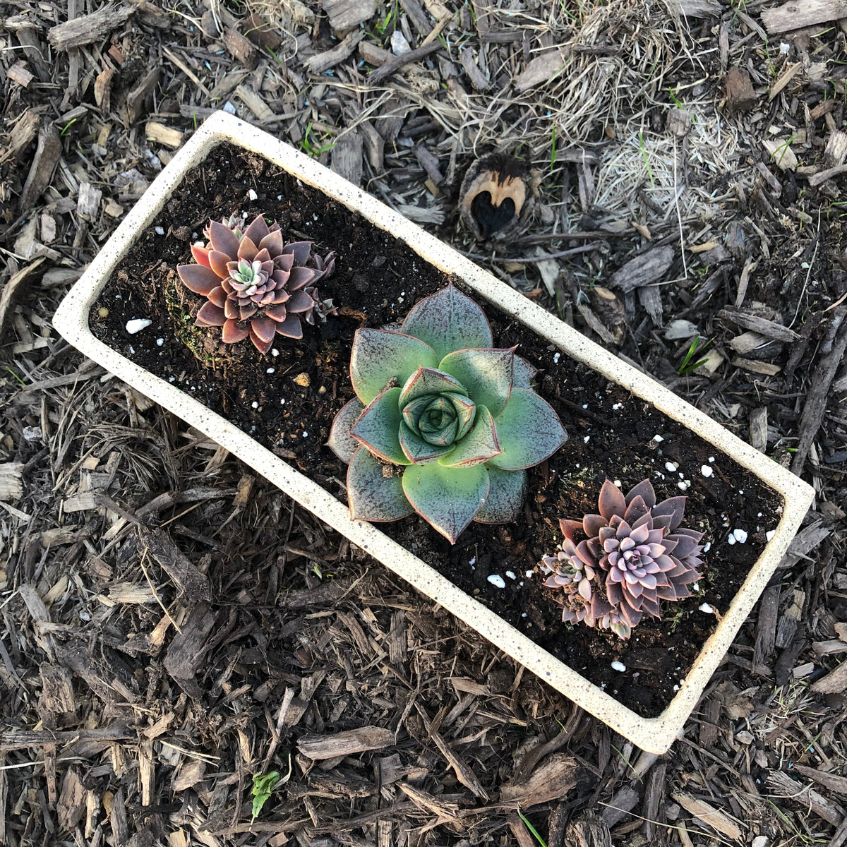 Planter Class – Studio at Fort Wayne Clay